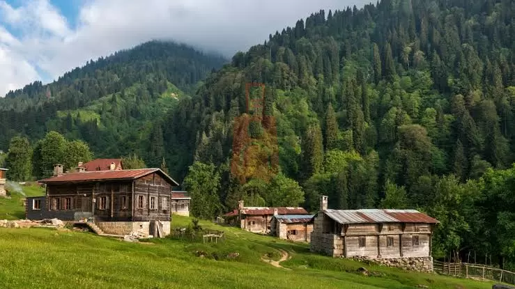 Most Popular Food in Rize | Travel Tips | Blog | TourTurka